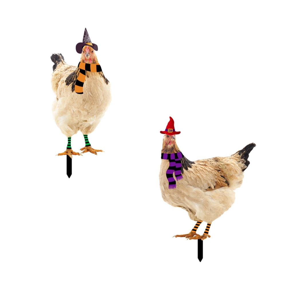 MOMOJIA Hen Chick Ground Plug Yard Sign Lawn Stakes Party Decorations ...