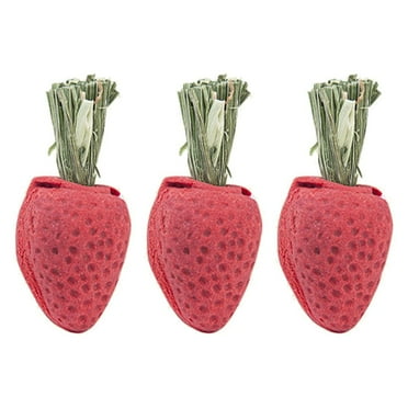 Vitakraft Crunch Sticks Hamster Treat - Peanut and Honey - Hamster Chew ...