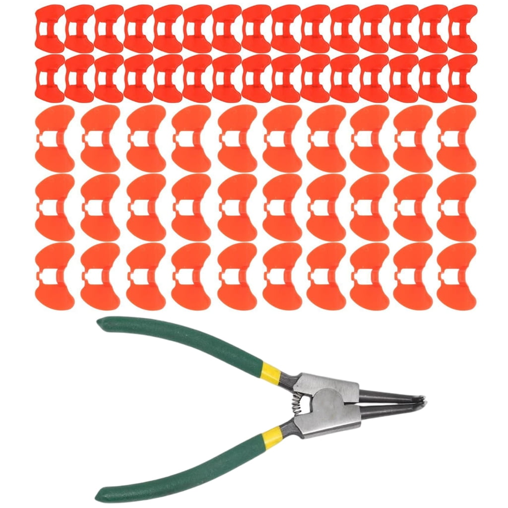 MOMOJIA Voyeurs Poultry Blinders Chicken Voyeurs Eye Glasses Voyeurs ...