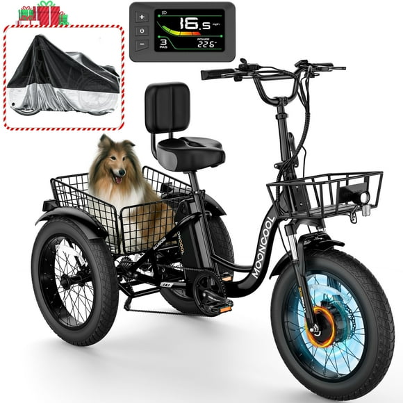 Electric Trike