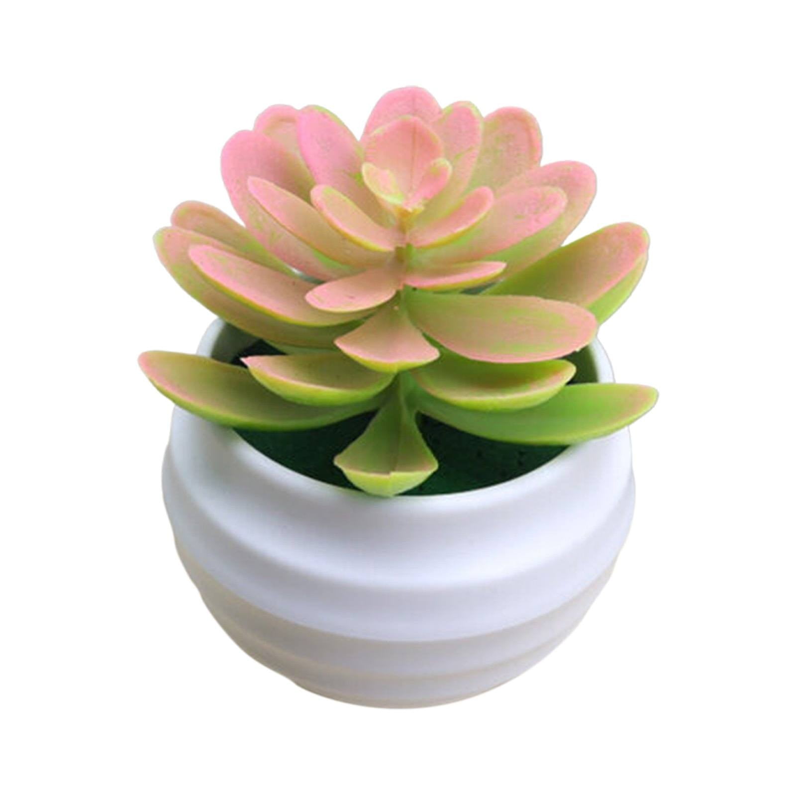 MOQIN Fake Succulent Plant in Plastic Pots - Realistic Faux Succulents ...