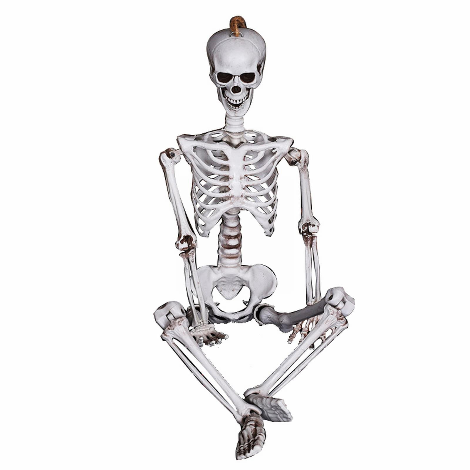 MOQIN Halloween Decoration - Halloween Skeleton Full Body Life Size ...