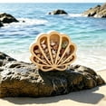 MORAVE Seashell Collection Storage Box with Acrylic Panel, Display ...