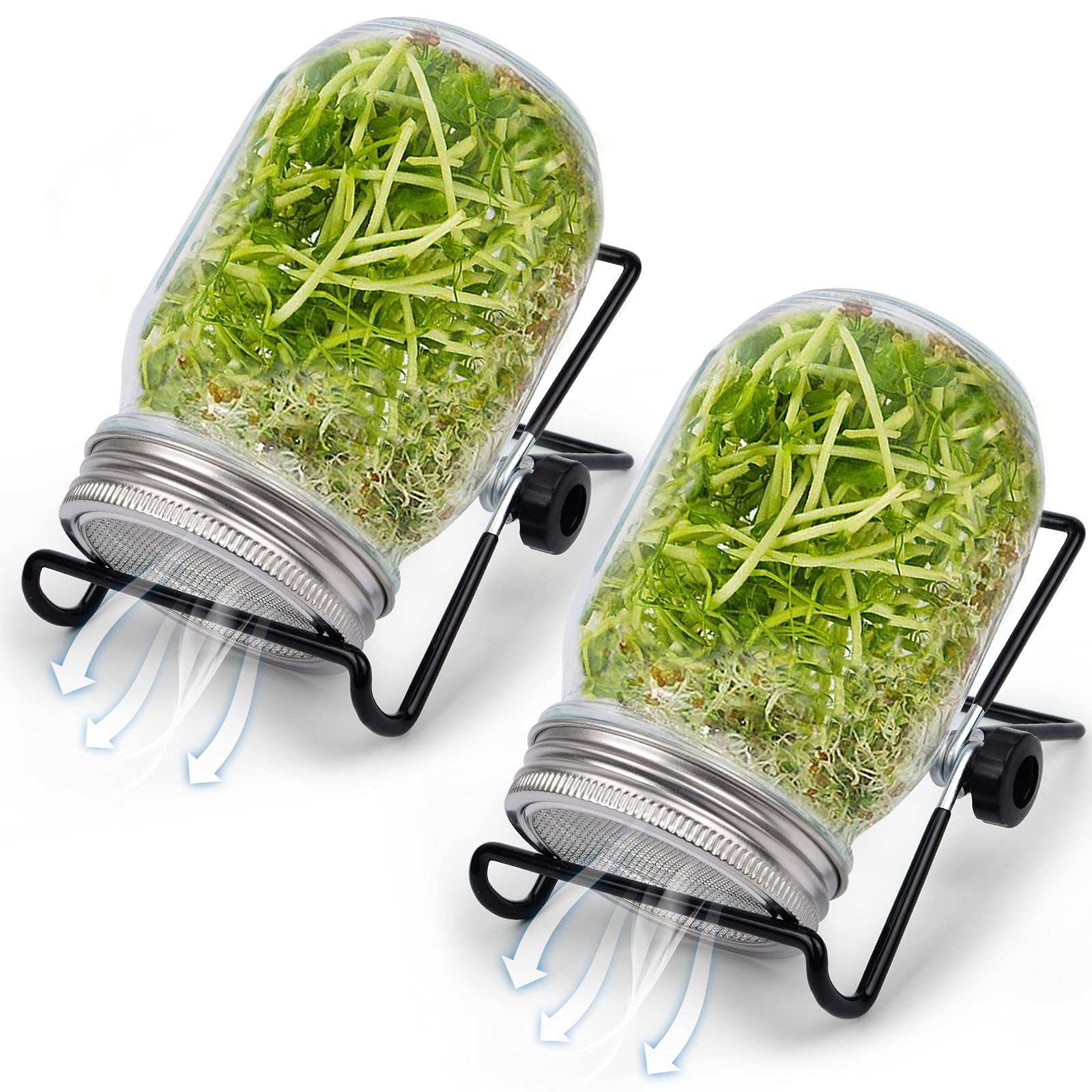 MORDEN MS Seed Sprouting Jar，Broccoli Sprouts Growing Kit with Screen ...