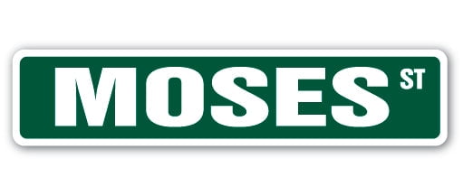 MOSES Street Sign Childrens Name Room Sign | Indoor/Outdoor | 36" Wide ...