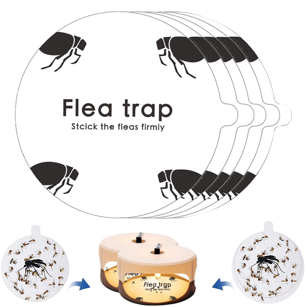 MOUIND Flea Trap and Sitck Pads, Reuseable Indoor Natural Flea Insect ...
