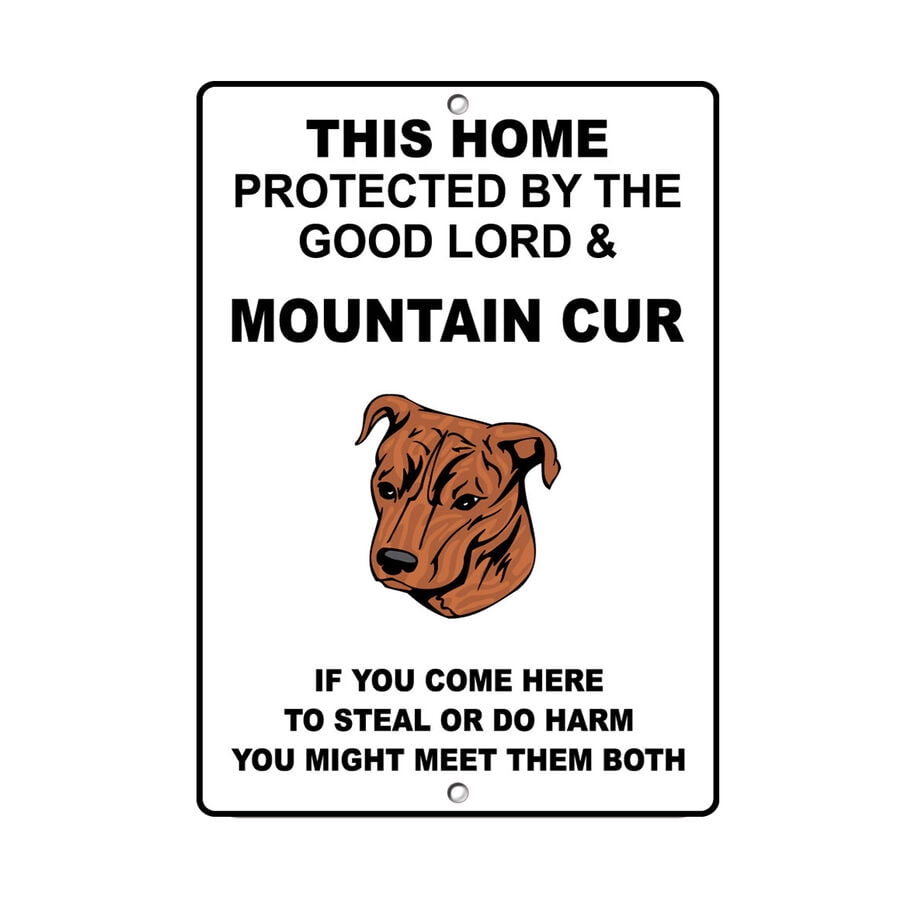 MOUNTAIN CUR DOG Home protected by Good Lord and Novelty METAL Sign ...