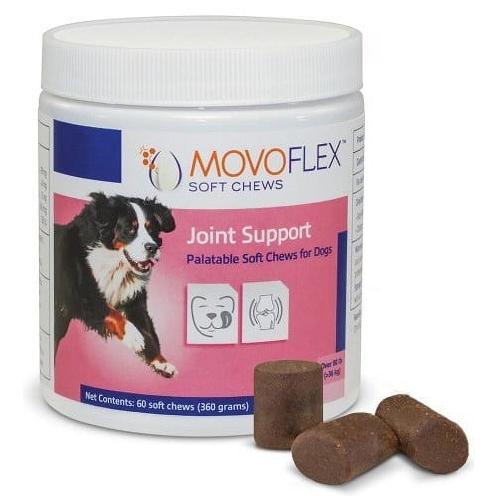 MOVOFLEX Large Dogs Joint Support Supplement Soft Chews 60 Count ...