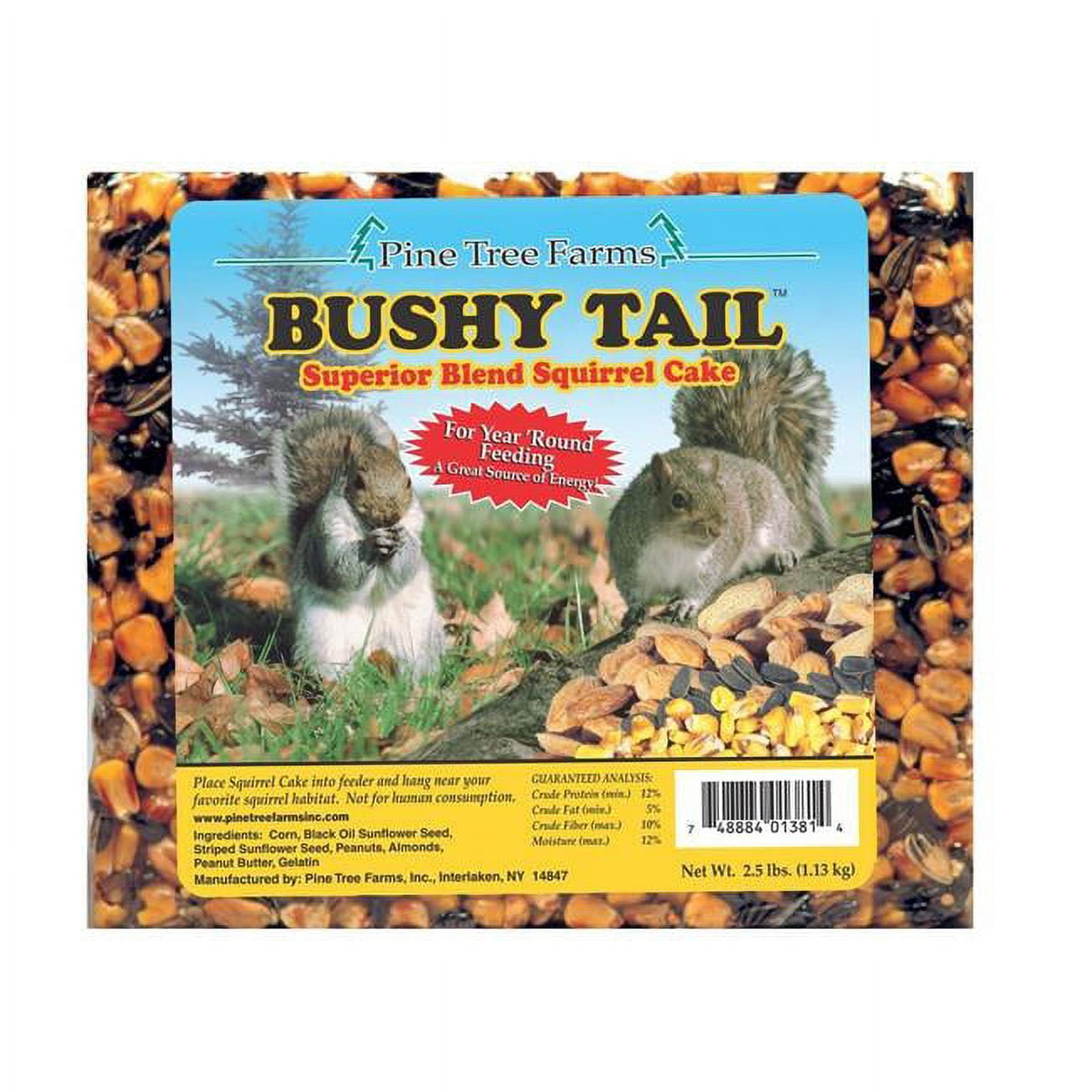 MP8 2 lbs Bushy Tail Squirrel Cake - Pack of 8 - Walmart.com
