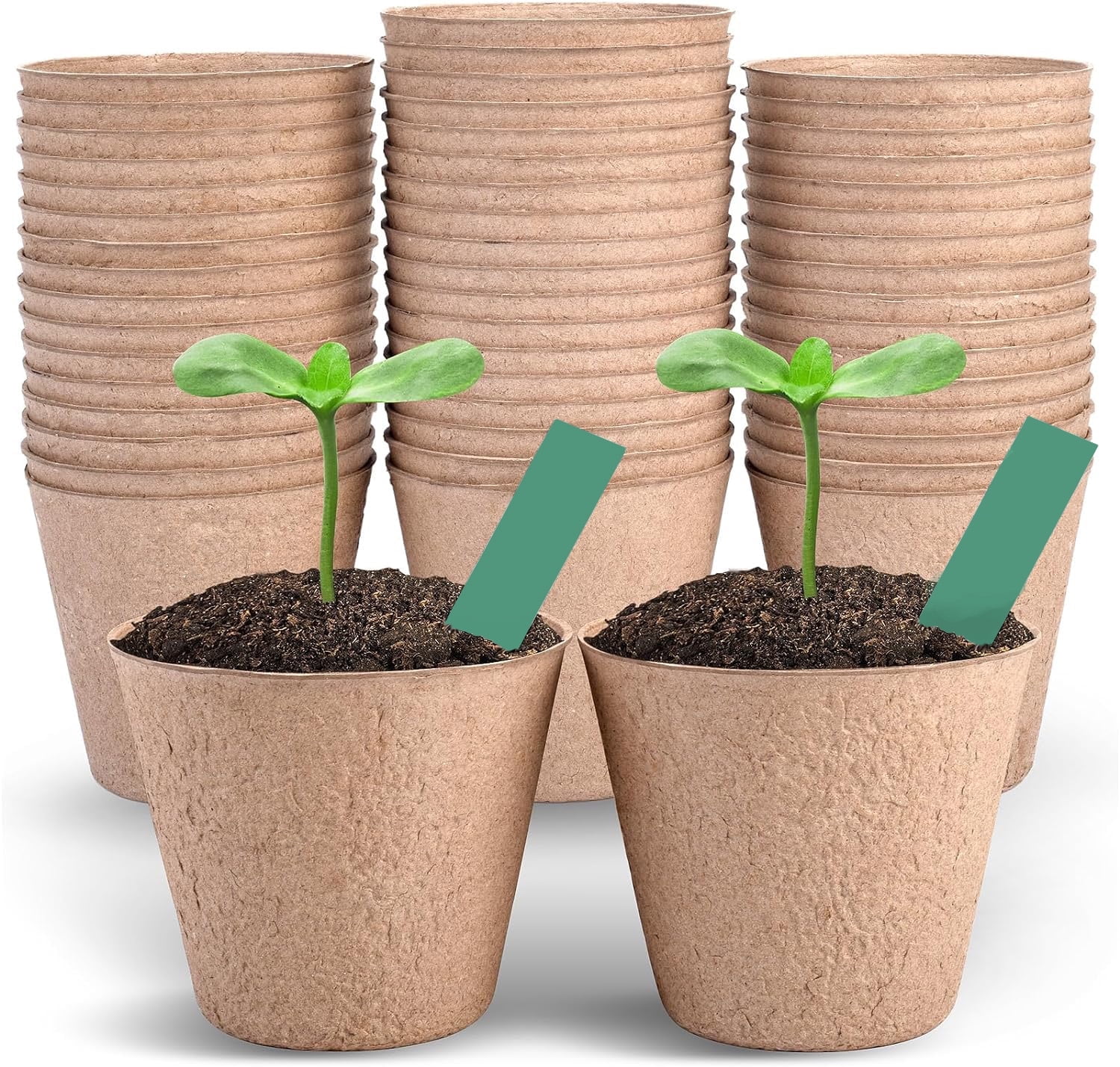 MQINGHOS Peat Pots 4 Inch Large, 50 Pcs Disposable Pots, Round ...