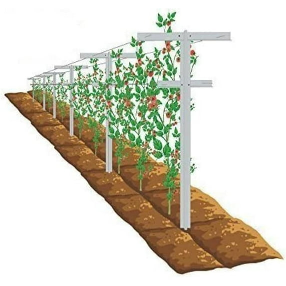 MRGARDEN 7-Feet Adjustable Garden Trellis Set for Raspberry and ...
