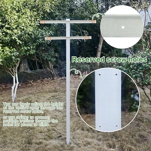 MRGARDEN 7-Feet Adjustable Garden Trellis Set for Raspberry and ...