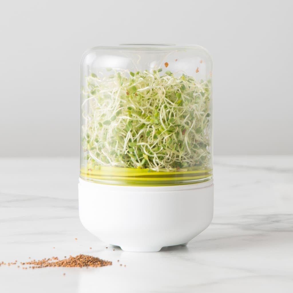 MRIYA Plastic Sprout Maker Countertop Sprouter Making Fresh Sprout ...