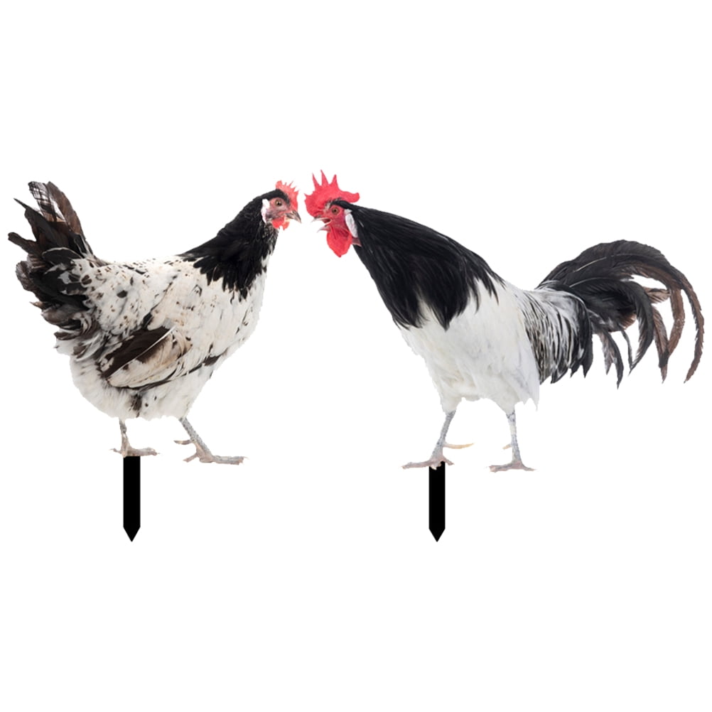 MRLESS 2 Acrylic Chicken Yard Signs Rooster Hen Garden Stakes 3D Statue ...