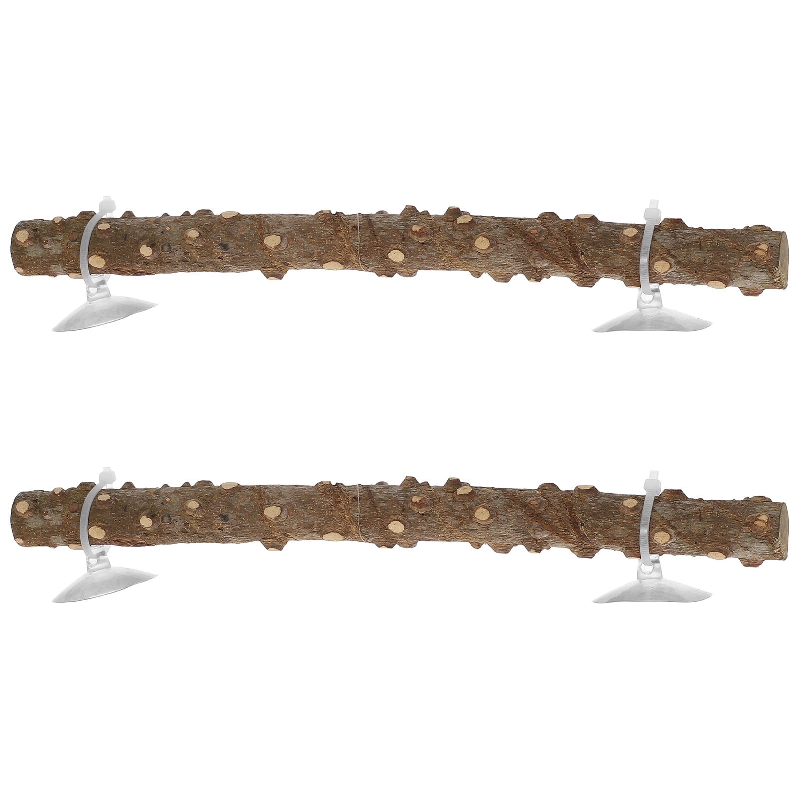 MRLESS 2Pcs Lizard and Snake Climbing Tree Branch with Suction Cup ...