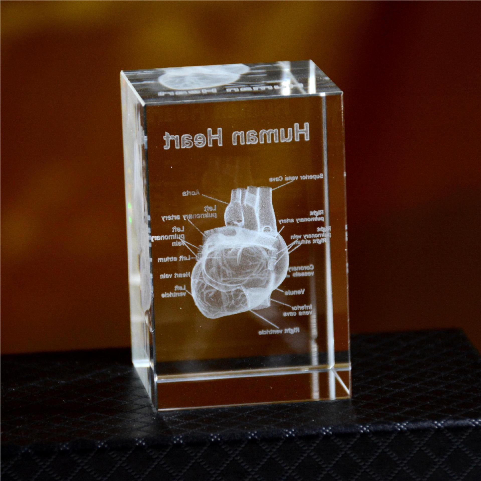 MRLESS 3d Crystal Human Heart Model Crystal Anatomical Figurine ...