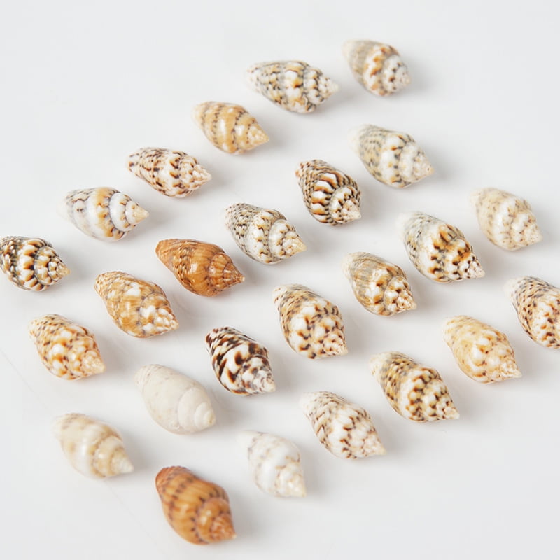 MRLESS 50pcs Miniature Beach Props for DIY Crafting Micro Landscape ...