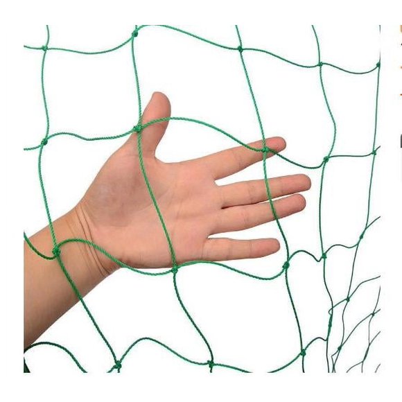 Net Trellis