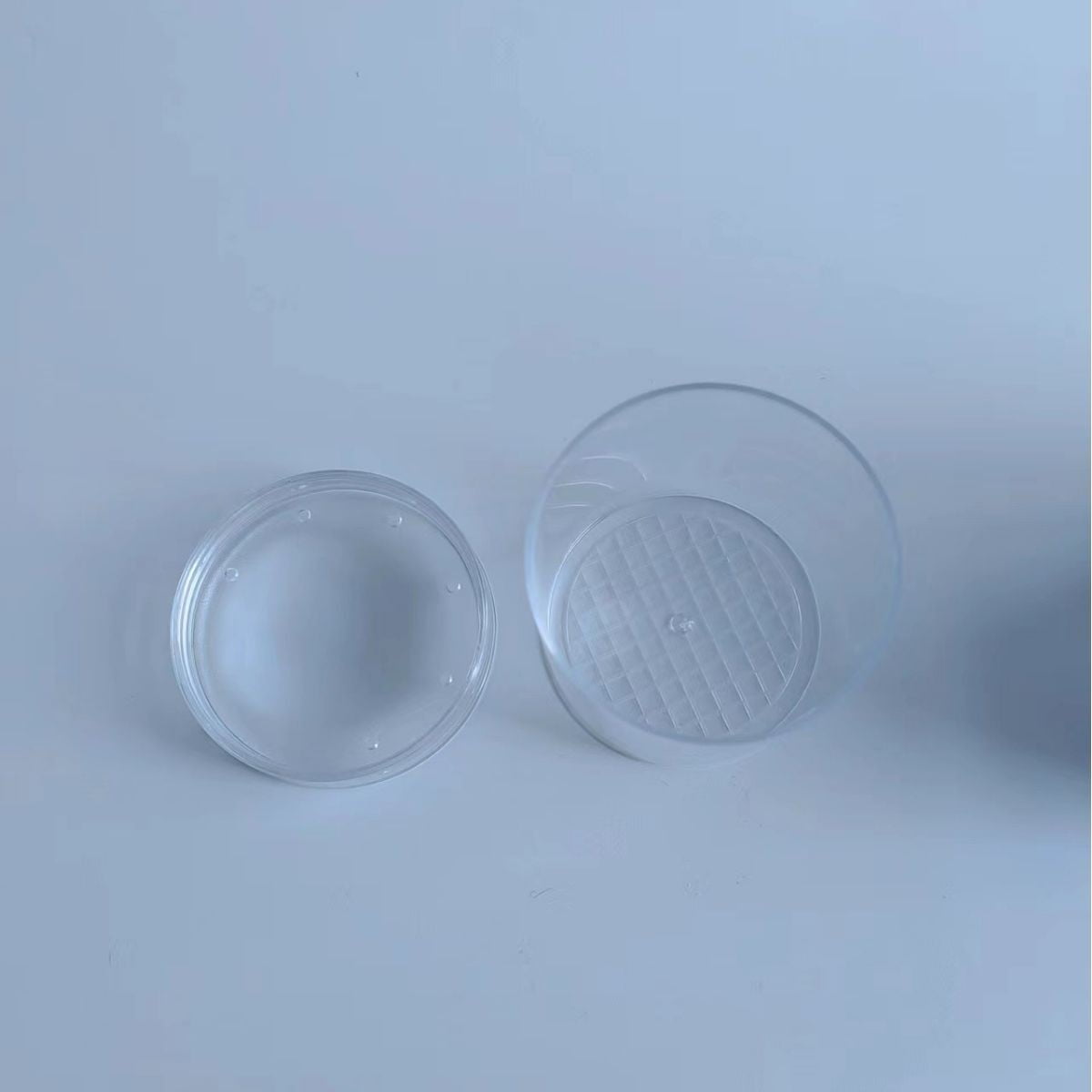 MRLESS Kids Insect Viewer Box with 3X Magnification Science Exploration ...