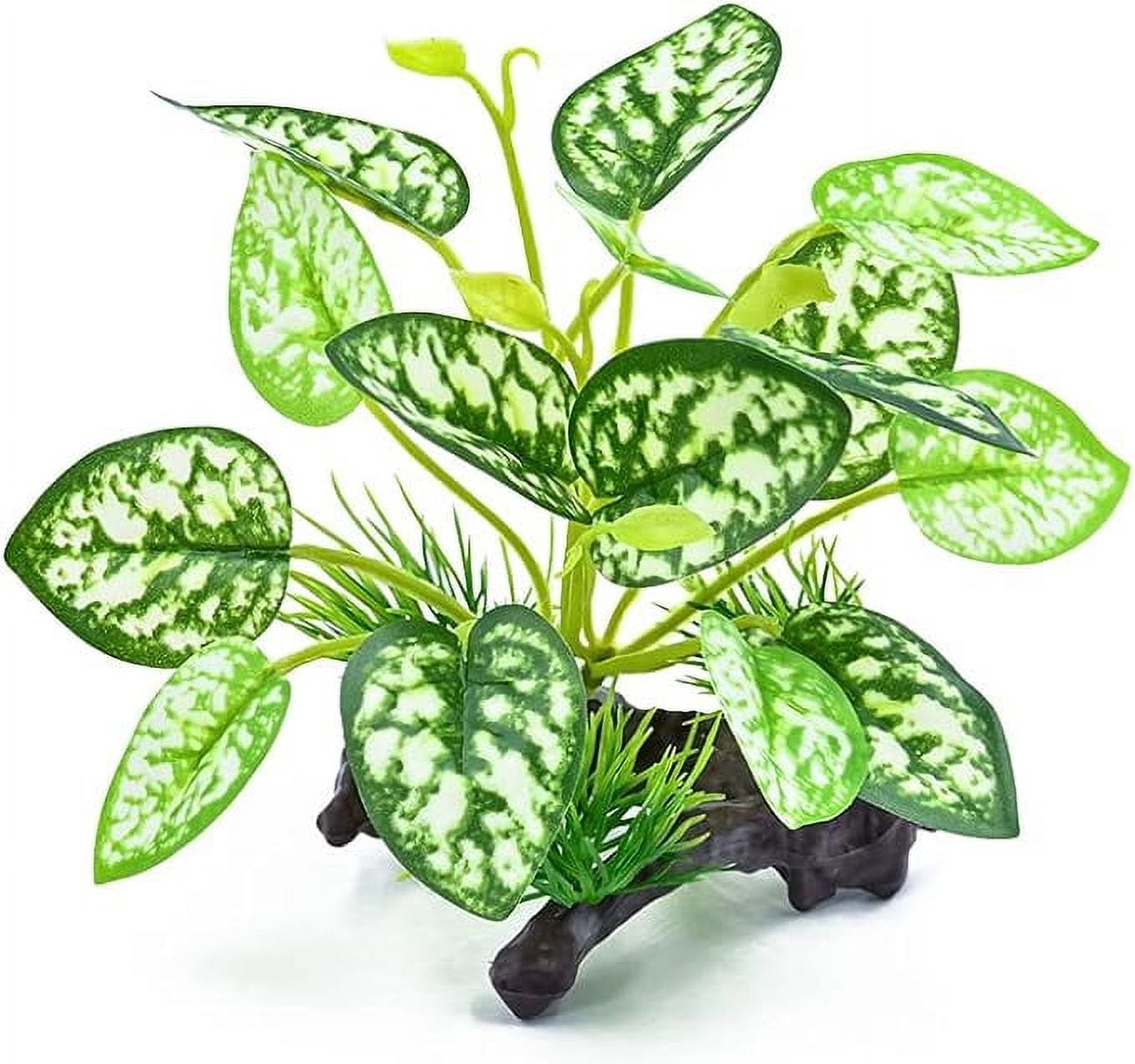 MRTIOO Reptile Artificial Plants, Terrarium Plants Decorations Supplies ...
