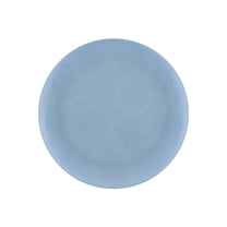 Mainstays 10.5" Round Plastic Plate, Dark Blue - Walmart.com