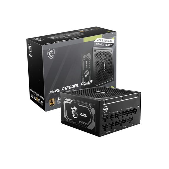 MSI MAG 1250W 80Plus Gold ATX Internal Power Supply MAGA1250GLPCIE5 ...