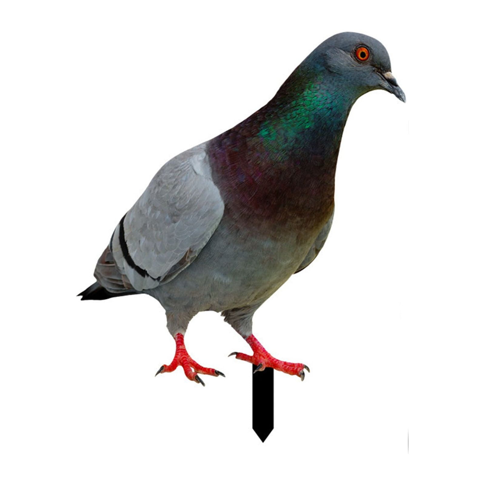 MSJUHEG Garden Decoration Garden Statue Acrylic Pigeons Outdoor Garden ...