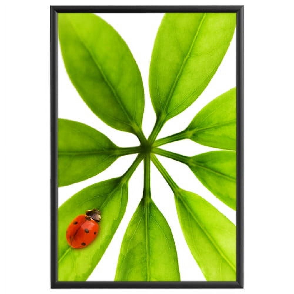 MT Displays Weatherproof Picture Frame - Walmart.com