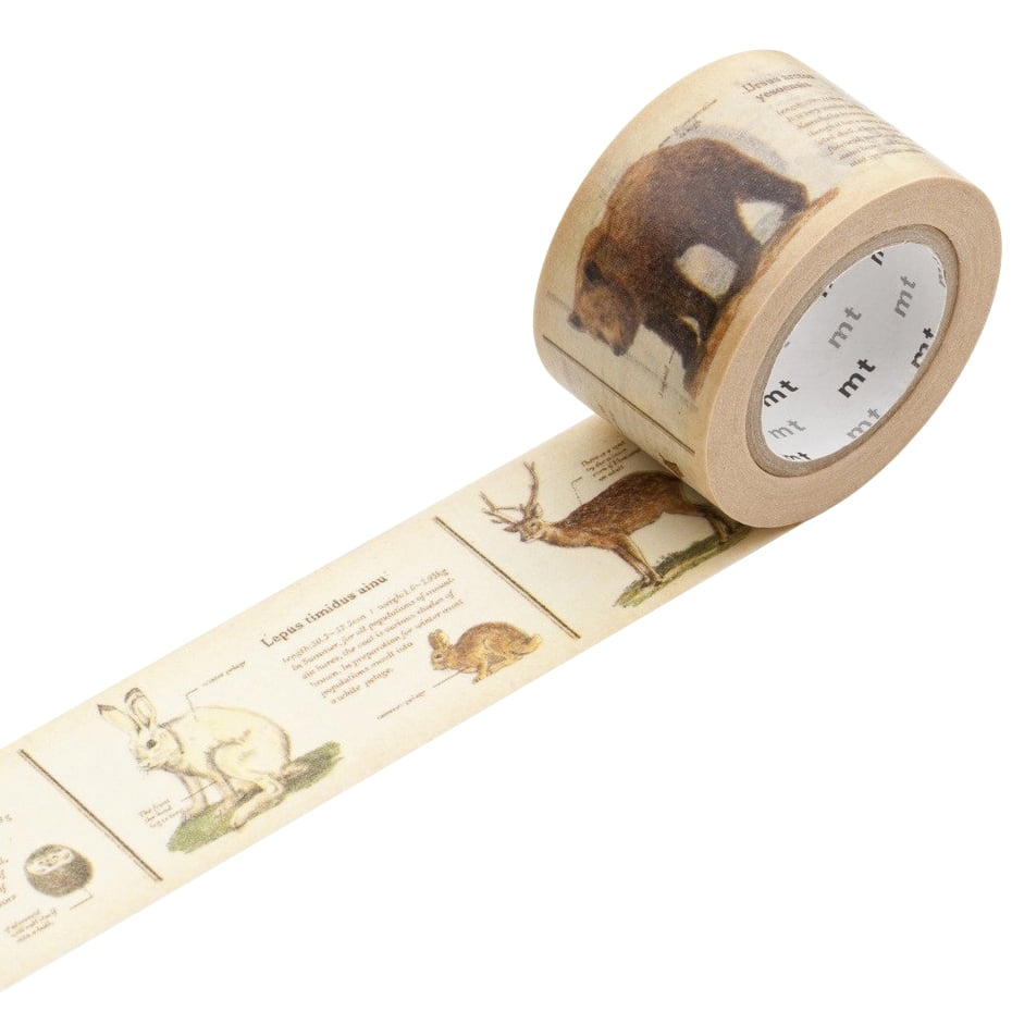 MT EX Series Washi Paper Masking Tape [Produced in Japan]: 1.2 in. x 23 ...