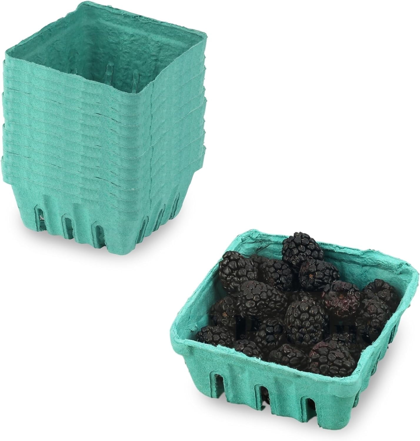 MT Products Green Vented Produce Berry Basket 1/2 Pulp Fiber - Pack of ...