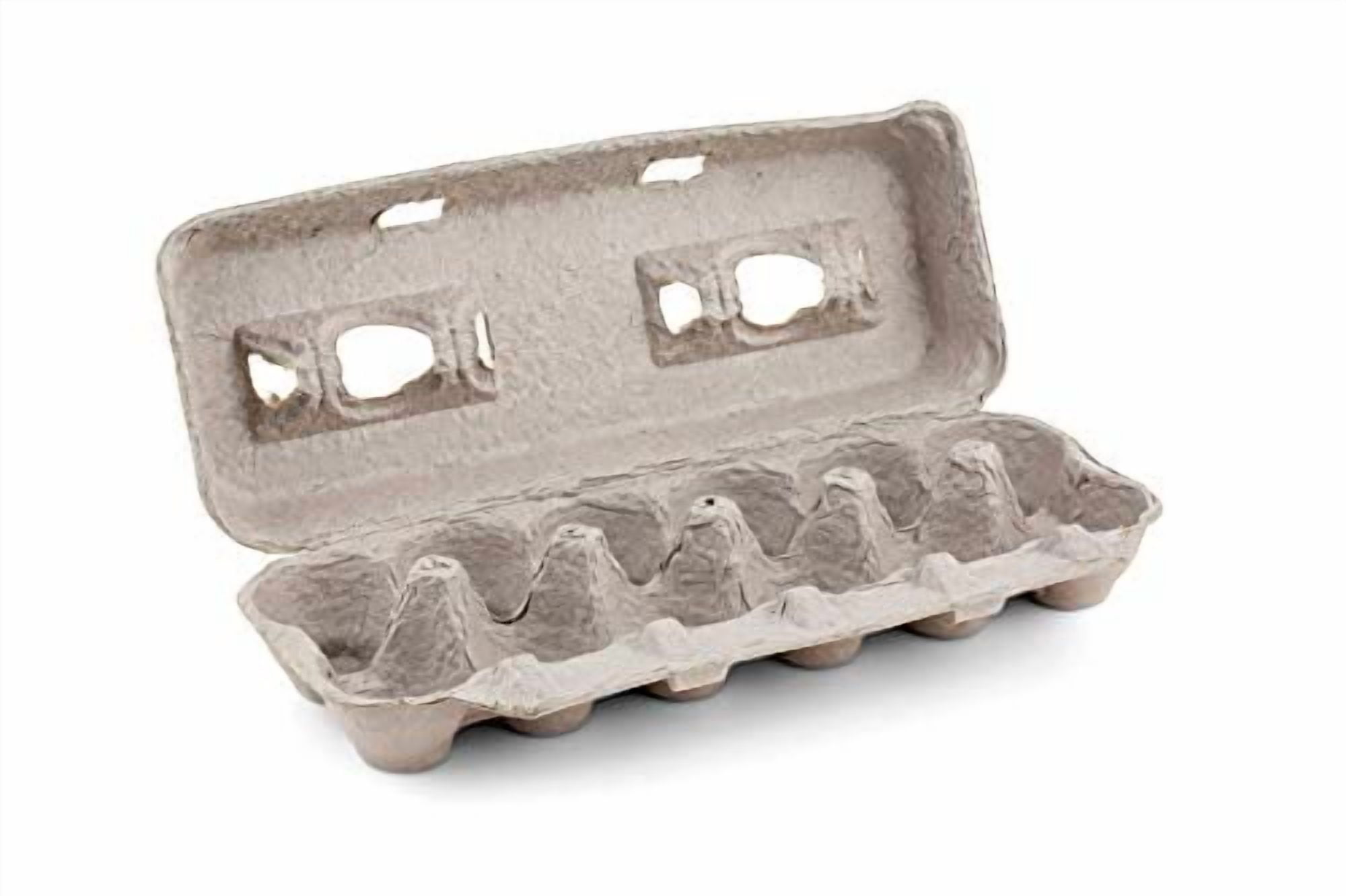 MT Products Printed Empty Egg Cartons Holds 12 Eggs - Cardboard Egg ...