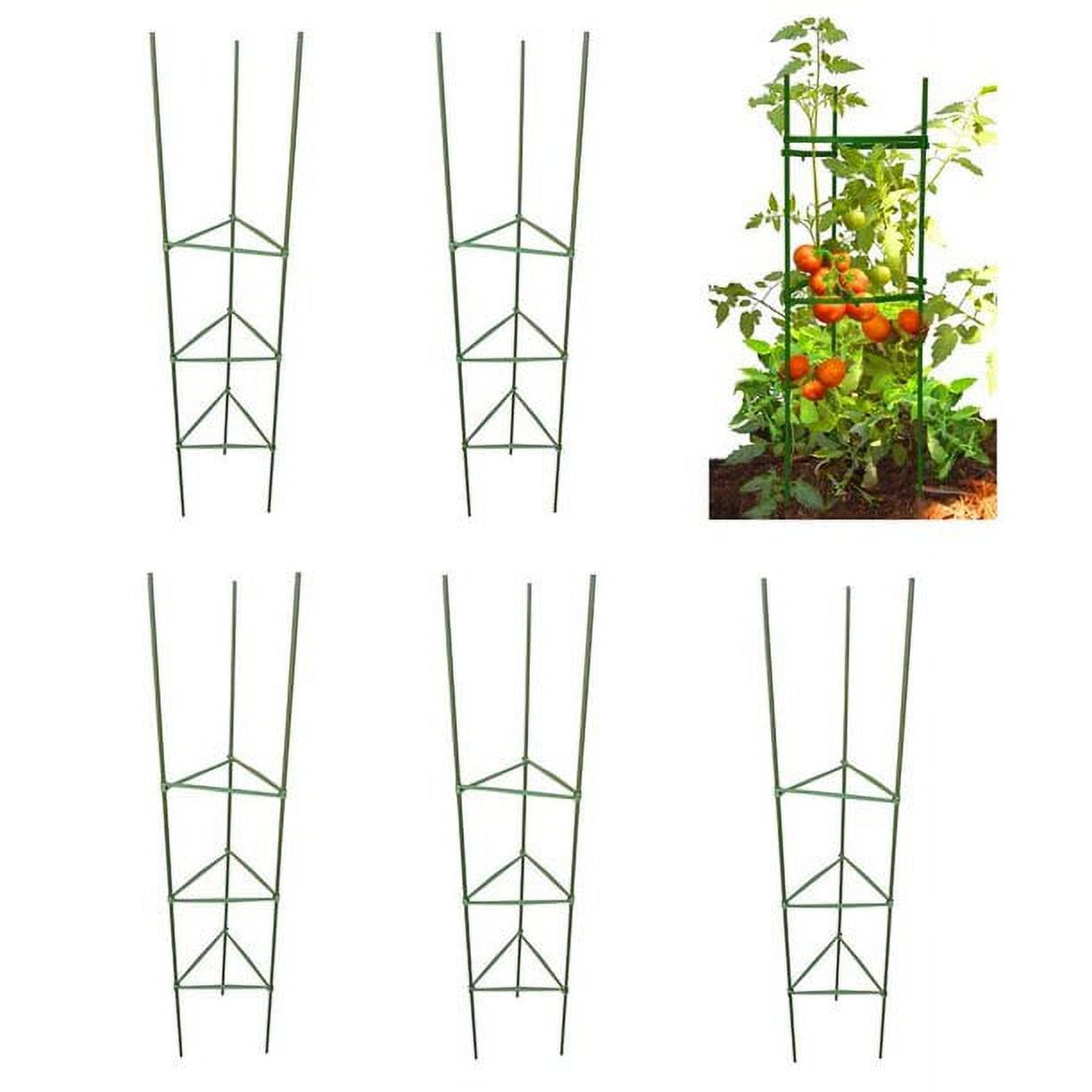 MTB 59Inch Assembled Triangle Tomato Cage Garden Plant Stakes,Green ...