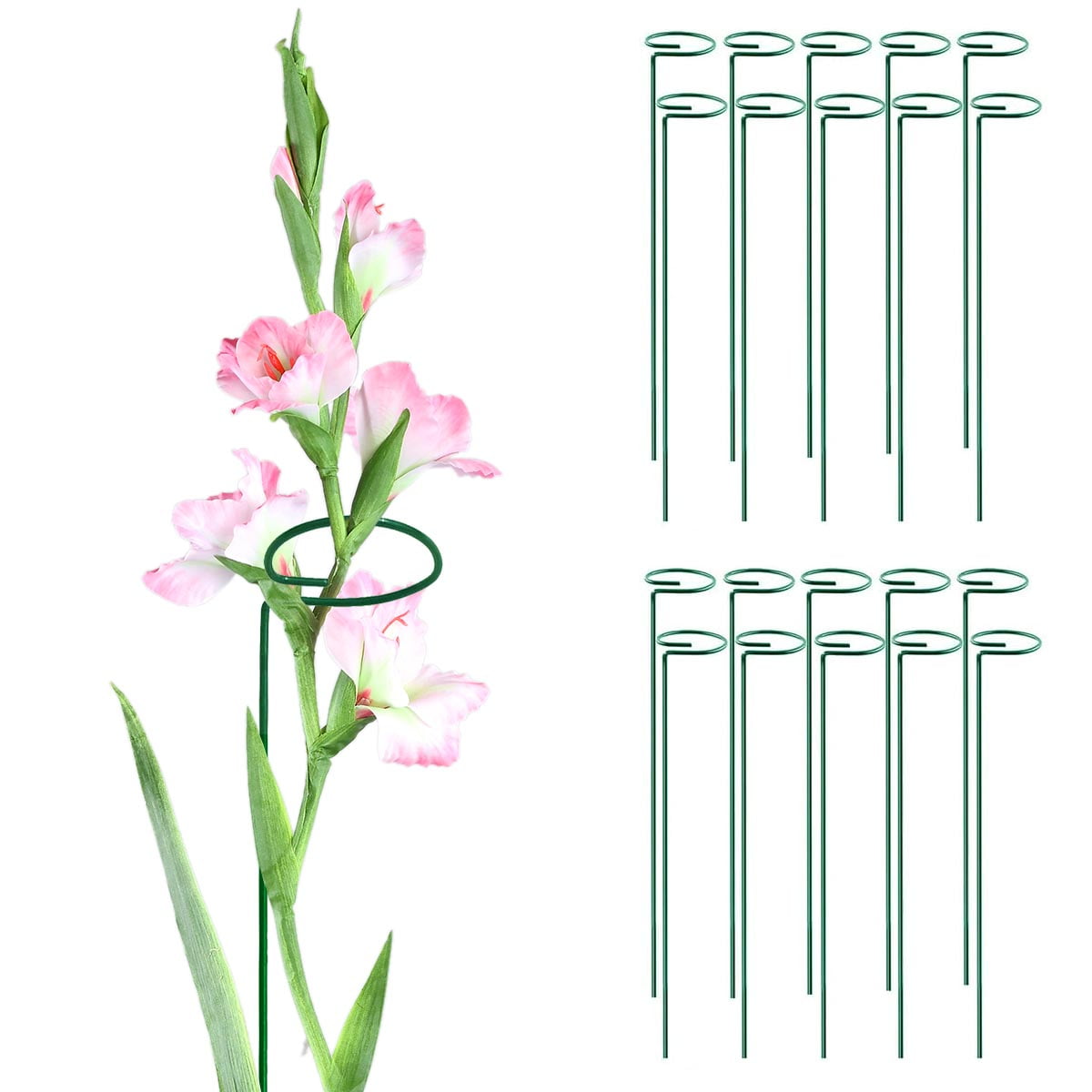 MTB SUPPLY Green 24 inch Single Stem Plant Stakes Flower Support Rings, Pack of 20,Gardening ...