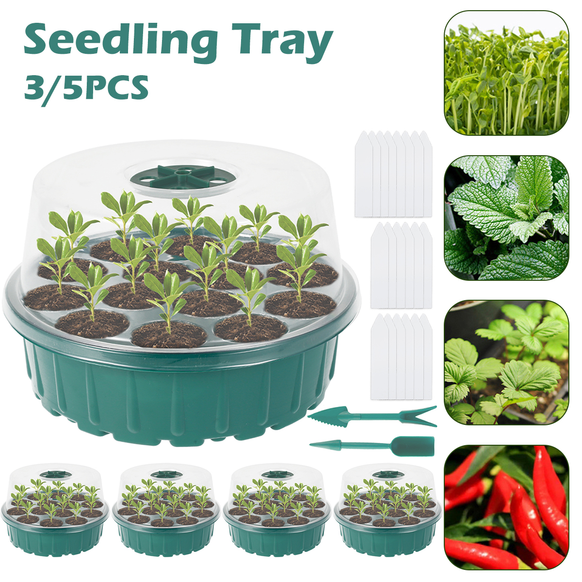 MTFun Seedlings Starter Trays with Transparent Lid 14 Cells Round Seed ...