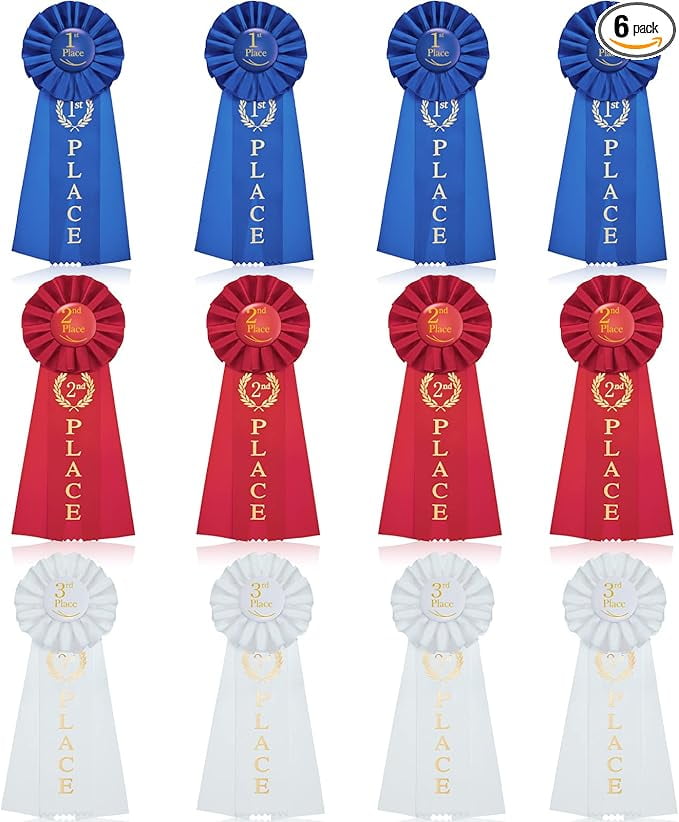 MTLEE Award Ribbons Set 1st Place Rosette Ribbon Prize Ribbon Winner ...