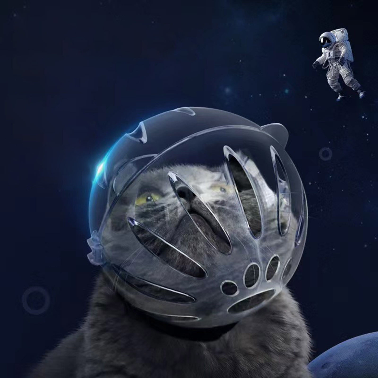 MU Cat Transparent Muzzle with Breathable Hood Adjustable Kitten ...