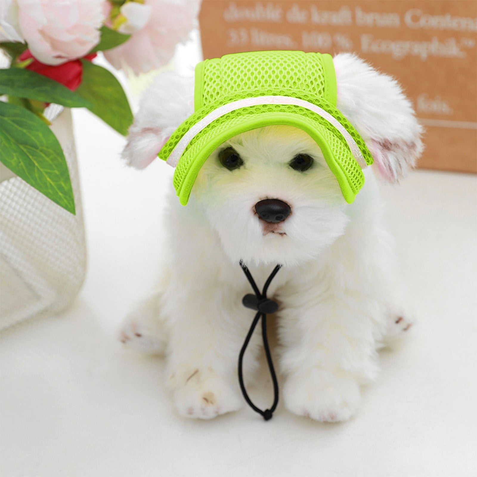 MU Dog Hat for Extra Small Dogs to Wear Puppy Bucket Hats with Ear ...