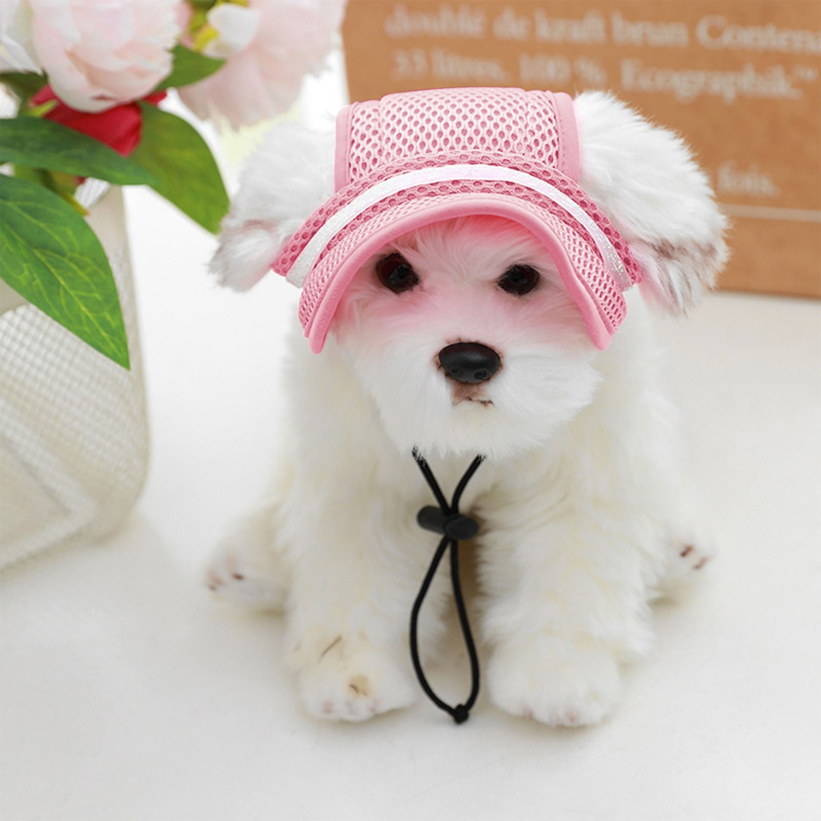 MU Dog Hat for Extra Small Dogs to Wear Puppy Bucket Hats with Ear ...