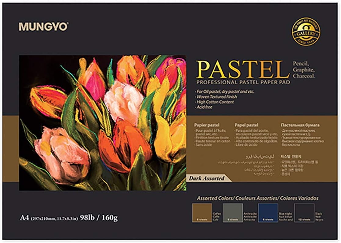 MUNGYO Professional Pastel Paper YPF5 Pad. A4 Size Oil Pastel Paper, 30 ...