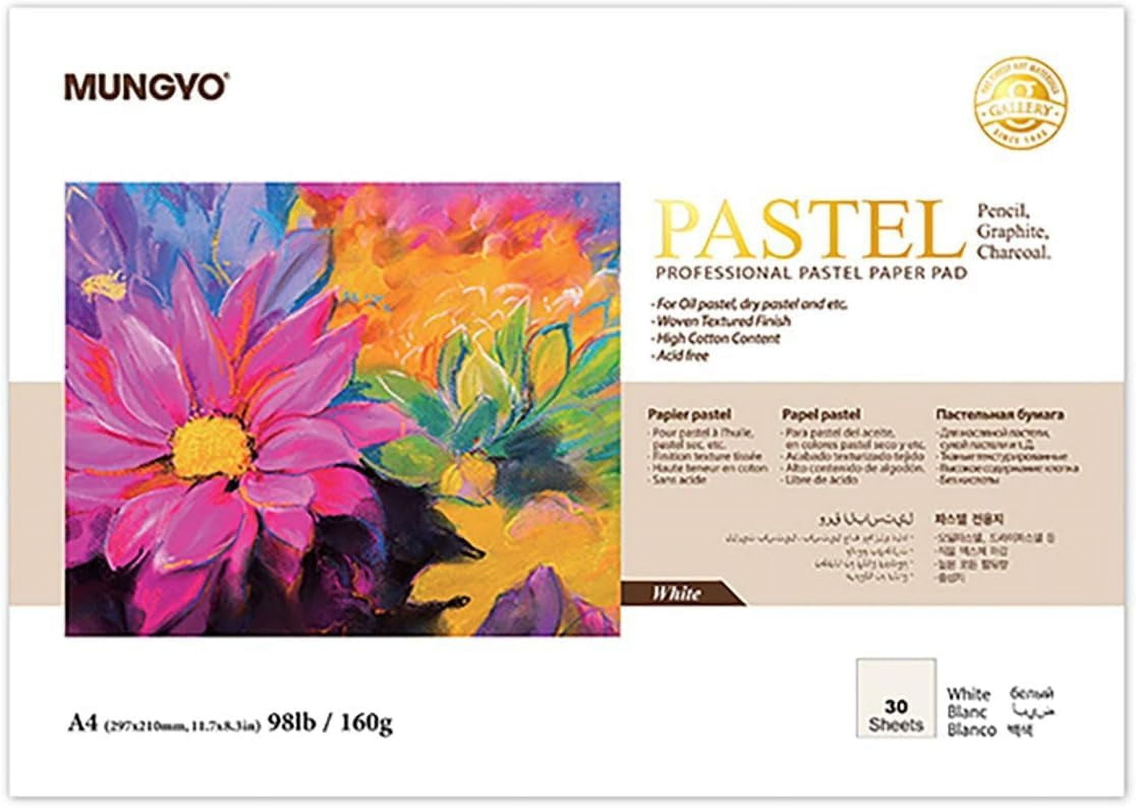 MUNGYO Professional Pastel Paper YPF5 Pad. A4 Size Oil Pastel Paper, 30 ...