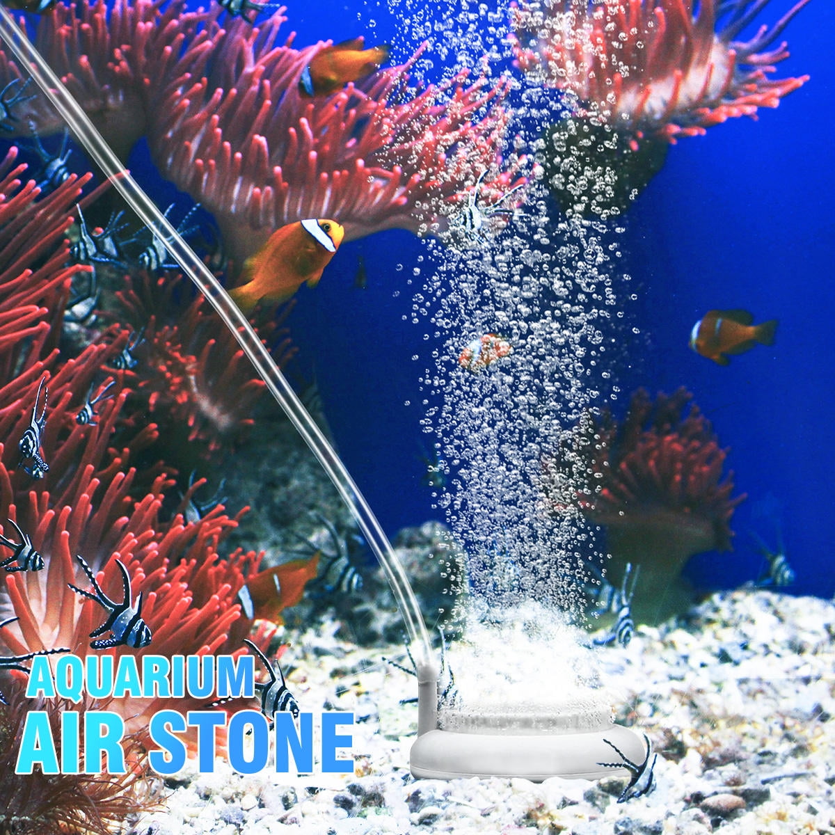 MUSEYA Air Bubbler For Aquarium Air Stone Round White Ceramic CO2 ...