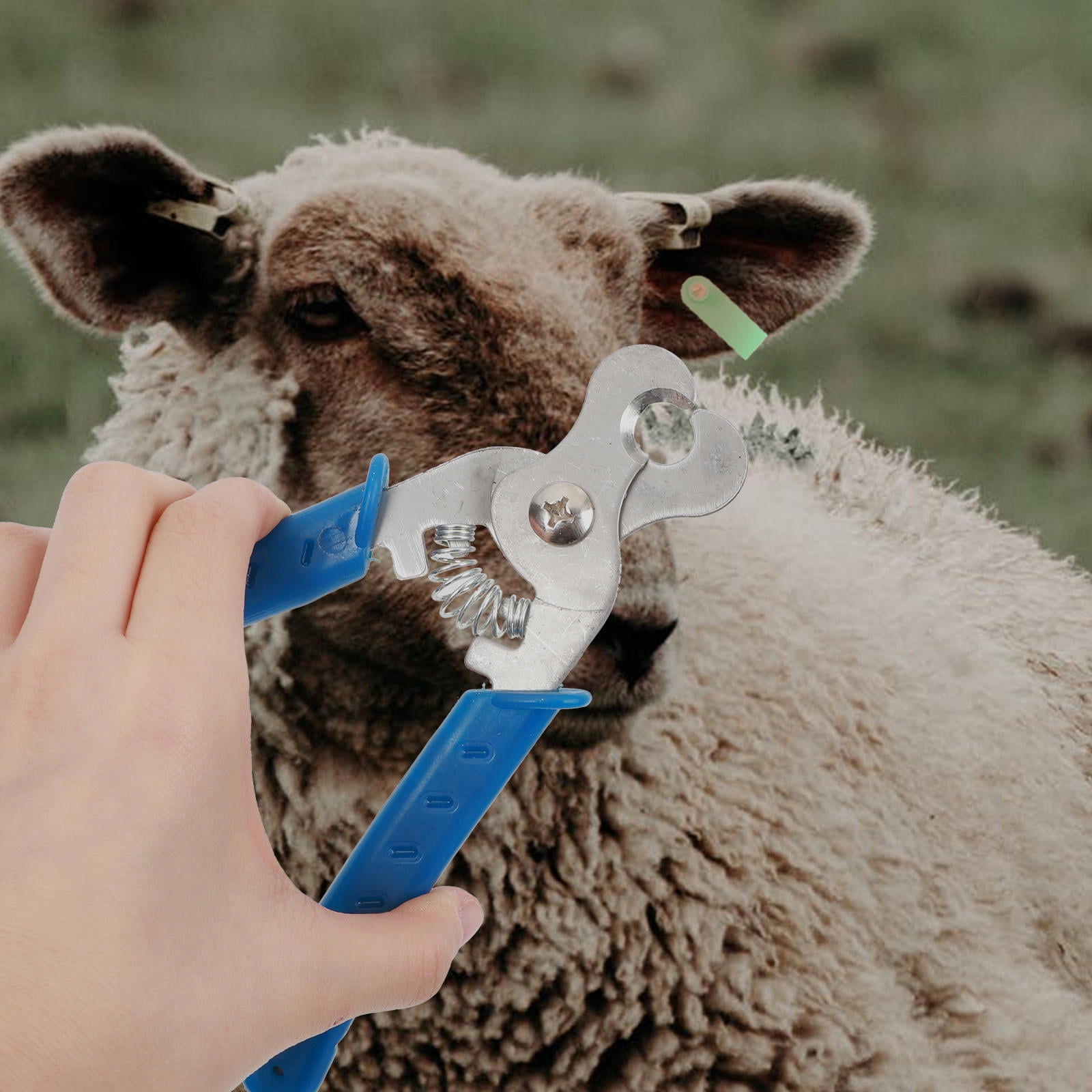 MUSEYA Cattle Ear Tag Plier Ear Tag Removal Lightweight Design for ...