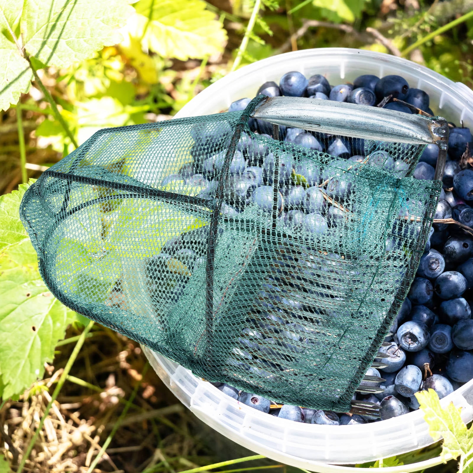 MUSEYA Ergonomic Blueberry Picker and Fruit Collector, 2pcs Berry ...