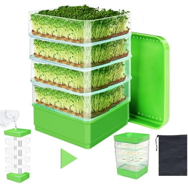 DNYSYSJ 110V Seed Sprouter, 2 Layers Bean Seed Cereal Sprouts Machine ...