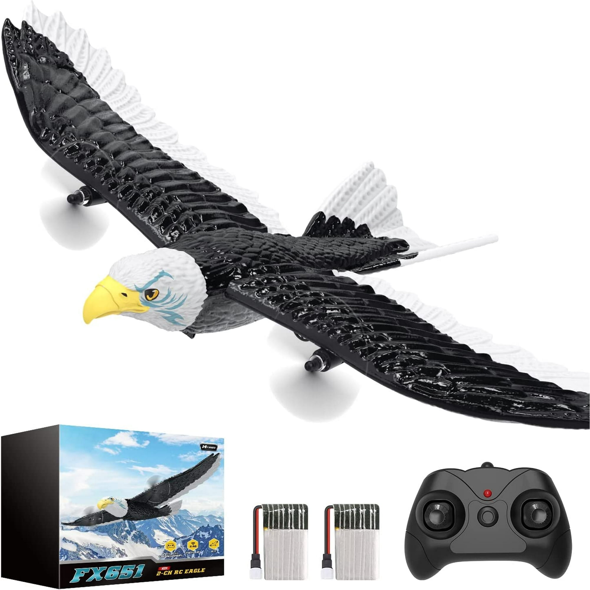 MUSICOZY RC Eagle Plane, 2.4GHz 2CH, RTF Airplane with 6-Axis Gyro, 2 ...