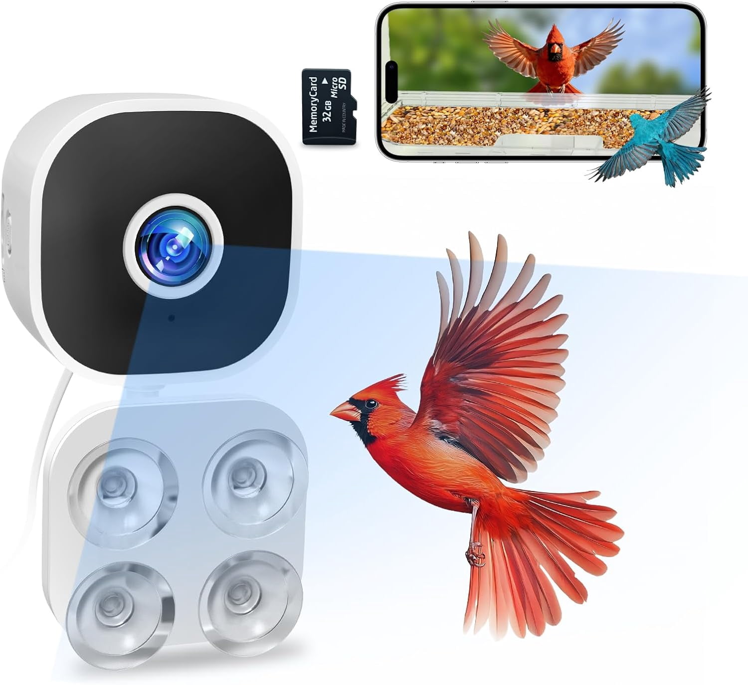MUSICOZY Smart Bird Camera with Glass Suction Cup, 2K HD Wired Bird ...