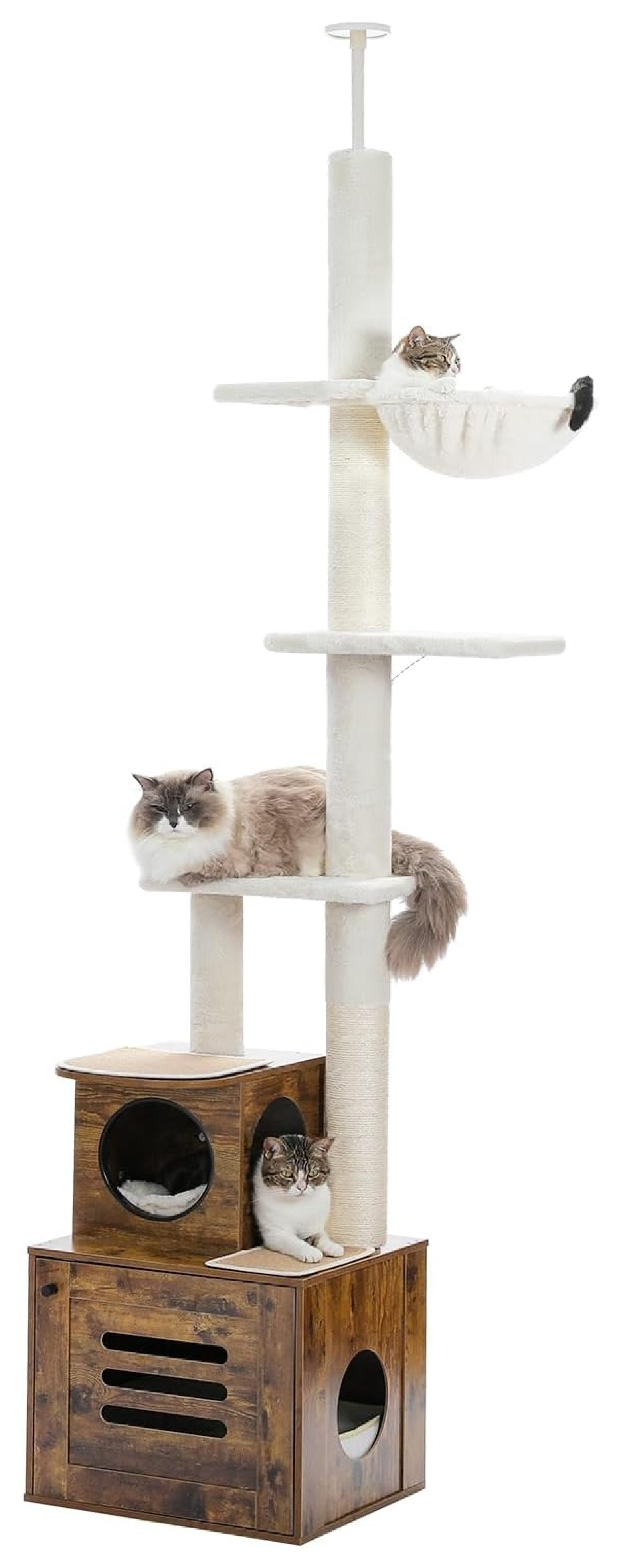 MUTTORS Floor to Ceiling Cat Tower for Indoor Cats, Cat Condo for ...