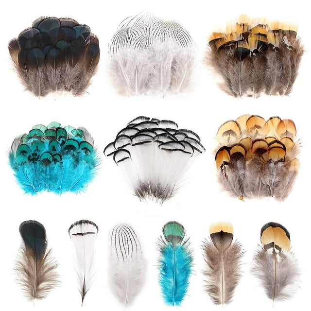 MWOOT 6 Styles Feathers for Crafting, 120pcs DIY Dreamcatcher Crafts Art Decor Feathers Earring ...