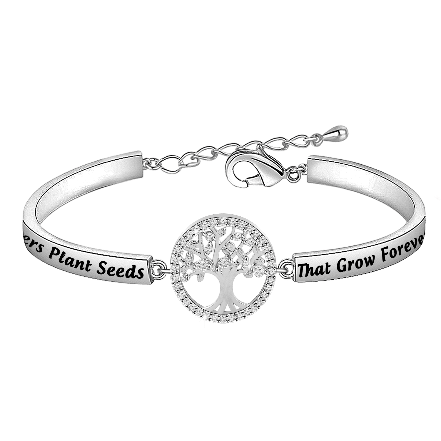 MYOSPARK Teacher Appreciation Gift Teacher Plant Seeds of Knowledge ...