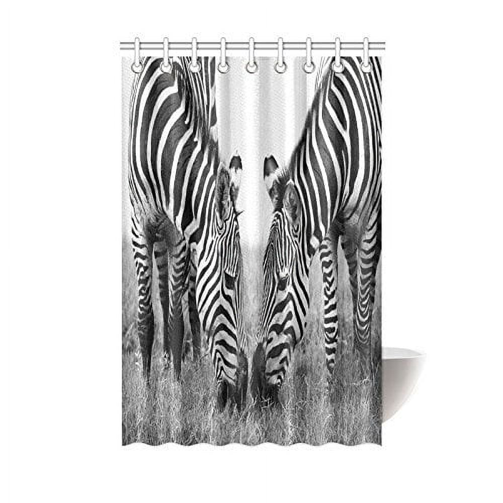 MYPOP Funny Animal Zebra Print Decor, Wildlife Animal Decor Art ...